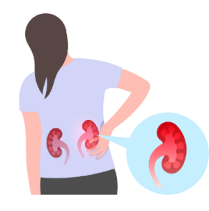 q-healthpartners | Nephrology
